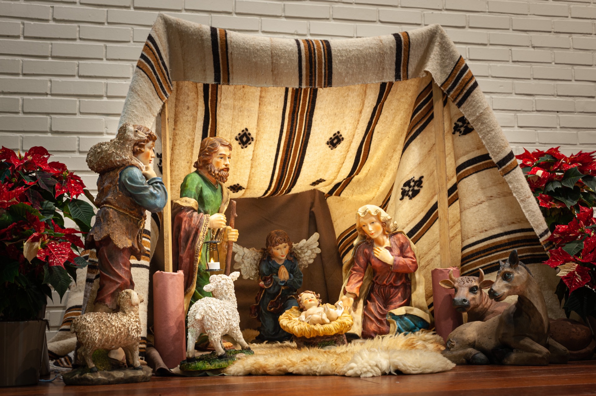 Ons leven :: scheut.be